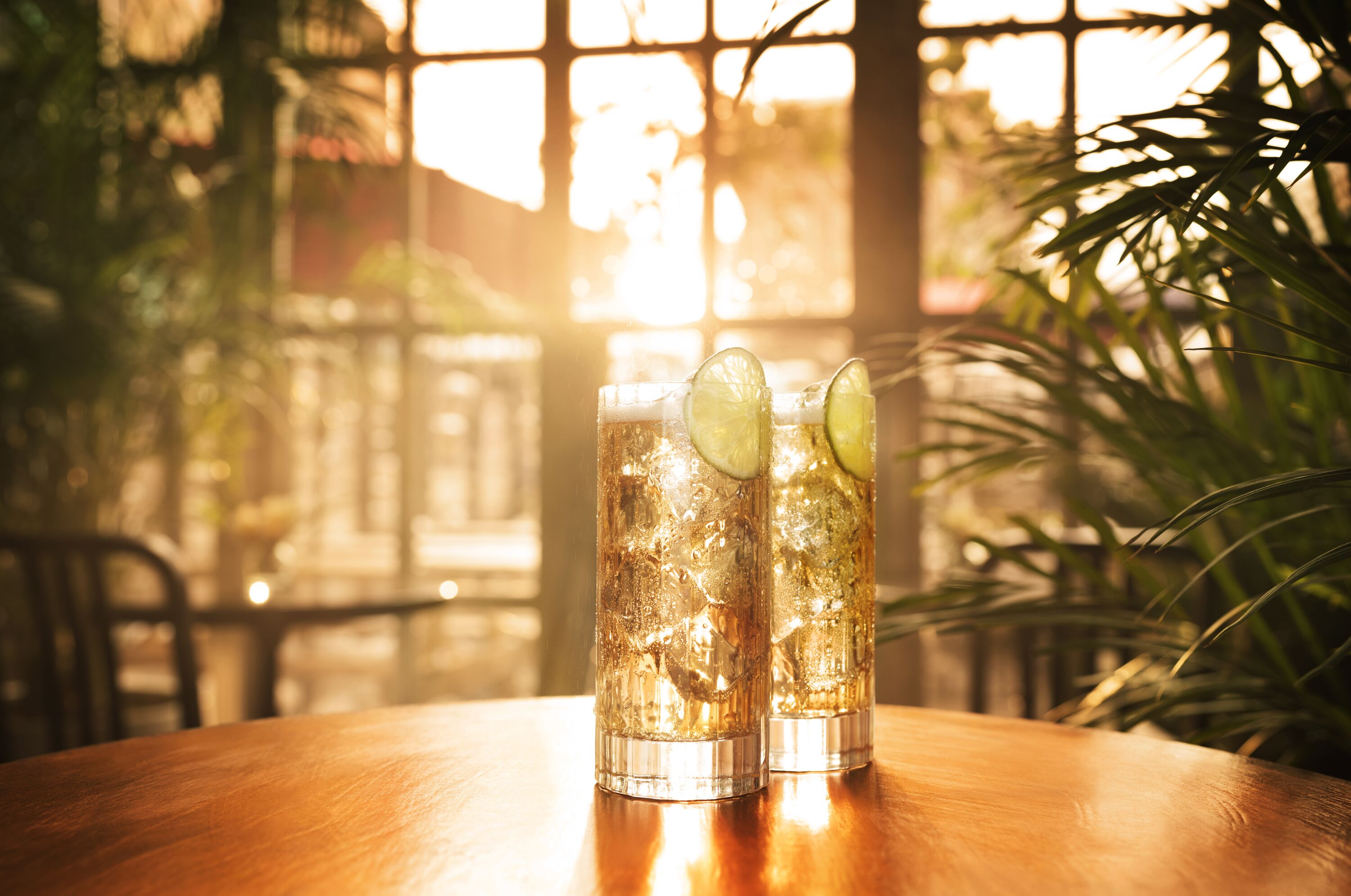 Receta Añejo Highball | ¿Cómo preparar un Añejo Highball? | BACARDÍ MX