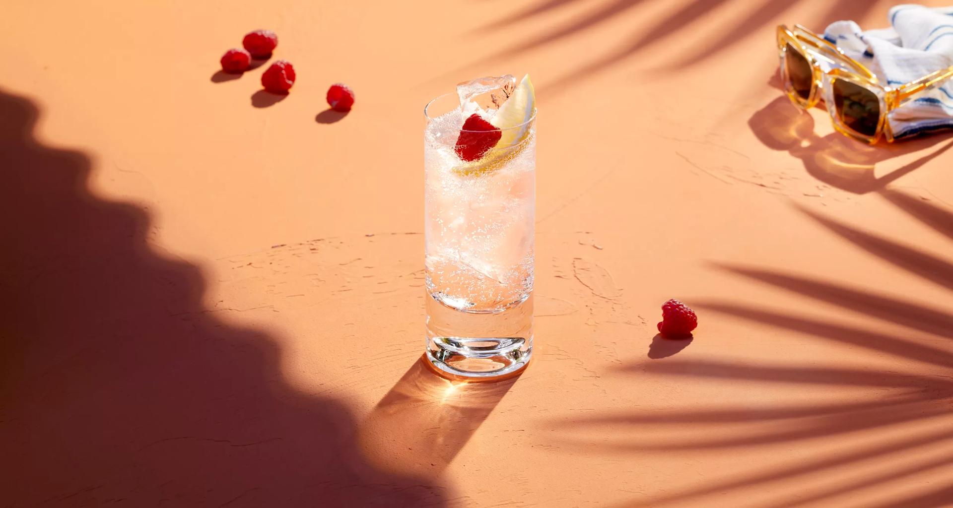 Raspberry & Tonic Rum Cocktail Recipe | How to make a Raspberry & Tonic ...